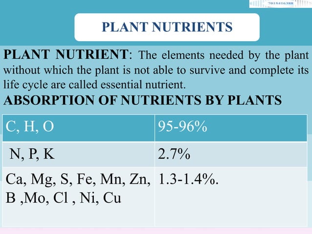 ESSENTIAL PLANT NUTRIENTS.pptx