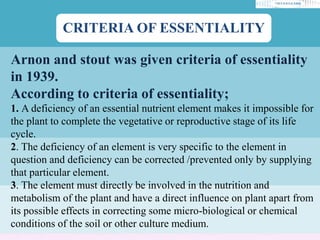 ESSENTIAL PLANT NUTRIENTS.pptx