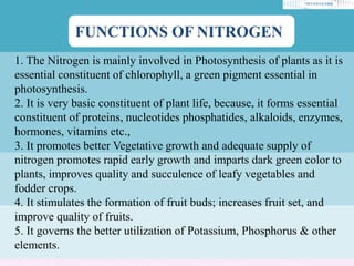 ESSENTIAL PLANT NUTRIENTS.pptx