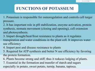 ESSENTIAL PLANT NUTRIENTS.pptx