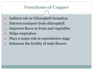 Essential plant nutrients and their functions | PPTX