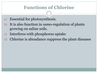 Essential plant nutrients and their functions | PPTX