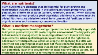 Essential_Plant_Nutrients_and_Their_Functions.pptx
