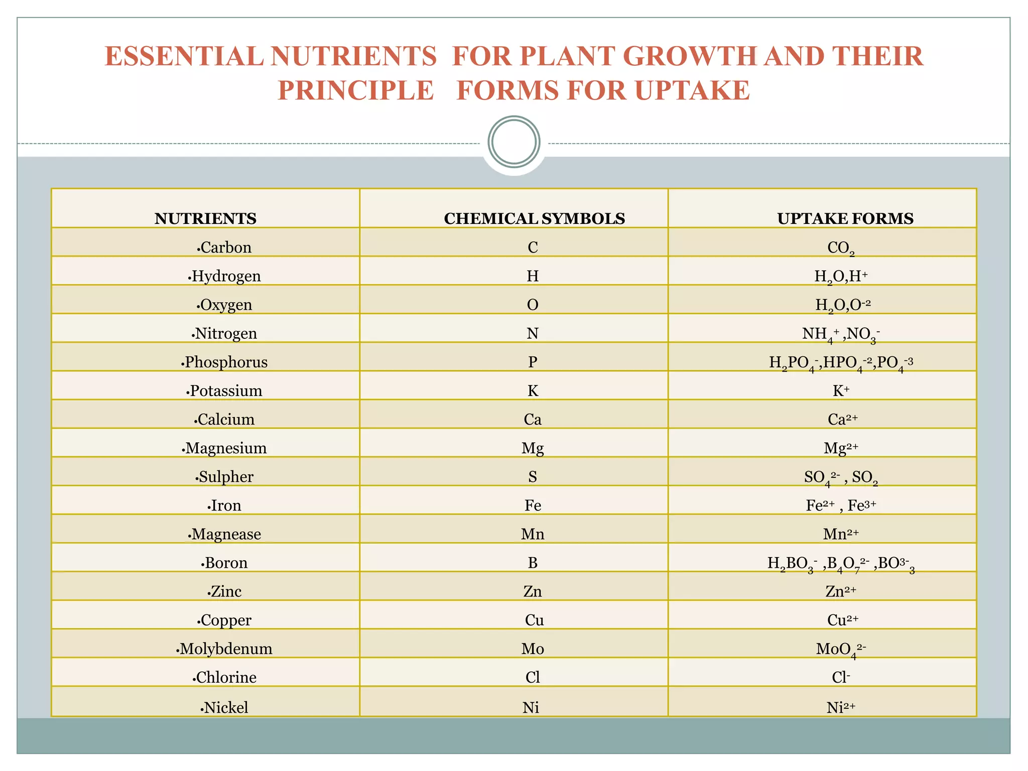 Essential plant nutrients,ppt | PPTX | Agriculture | Industries