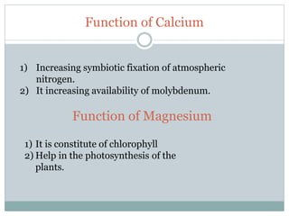 Essential plant nutrients,ppt | PPTX