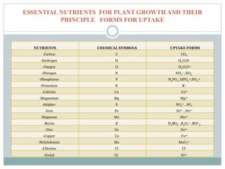 Essential plant nutrients,ppt | PPTX