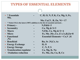 Essential plant nutrients,ppt | PPTX
