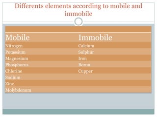 Essential plant nutrients,ppt | PPTX