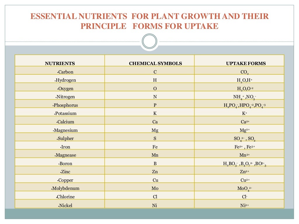 Essential plant nutrients,ppt