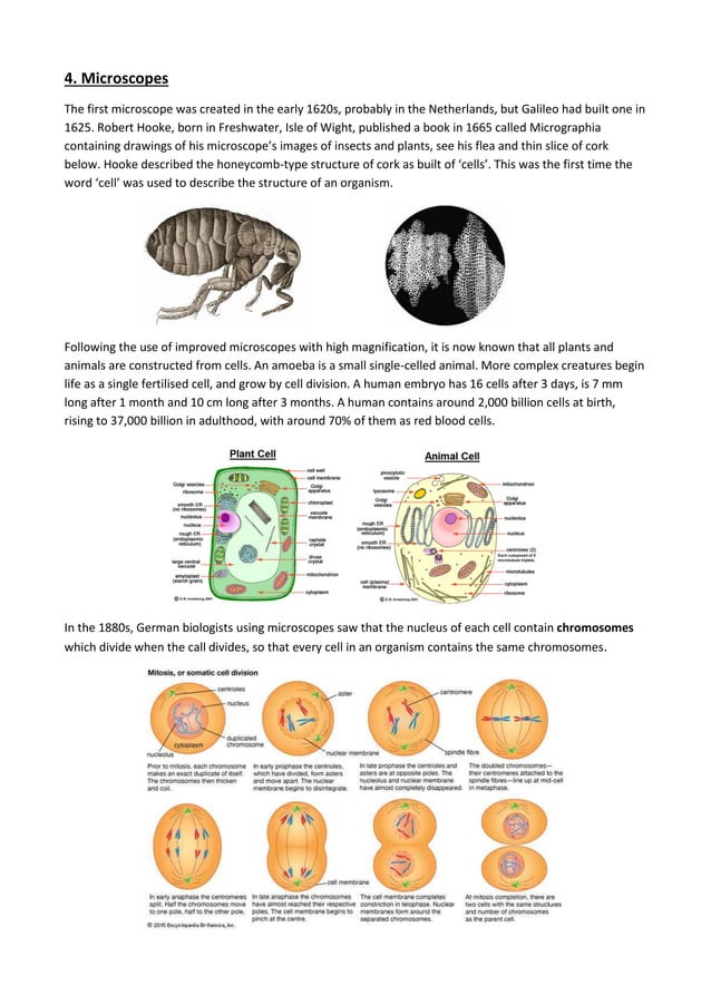 Essential science r1 | PDF | Biological Sciences | Science