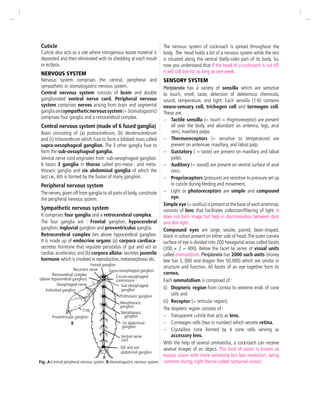 Crash-Course for AIPMT & Other Medical Exams 2016 (Essentials cockroach ...