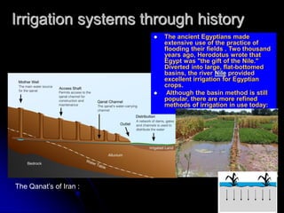 Ancient Egyptian Irrigation Basin