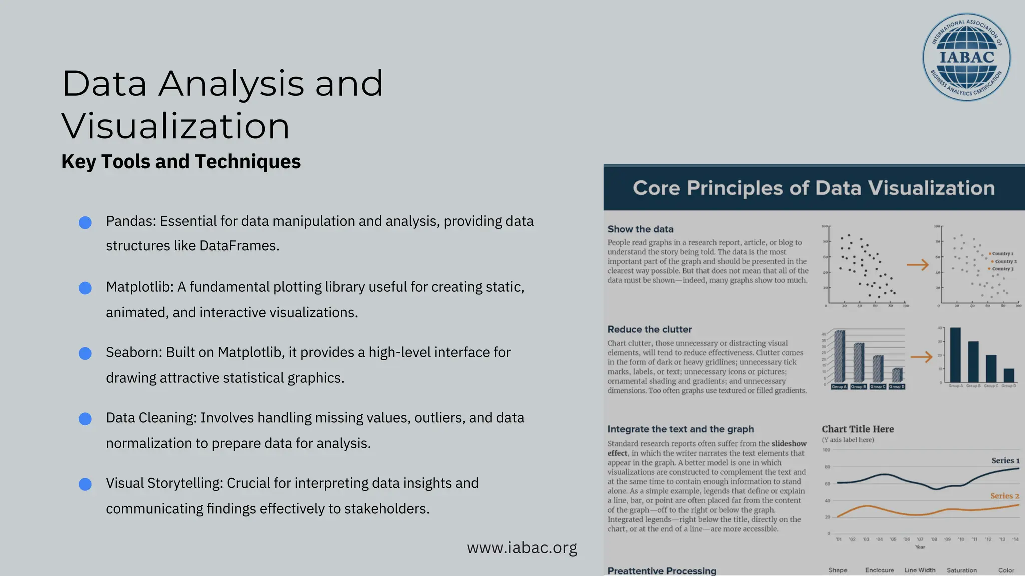 Essential Skills for a Career in AI | IABAC | PDF | Technology Industry | Industries