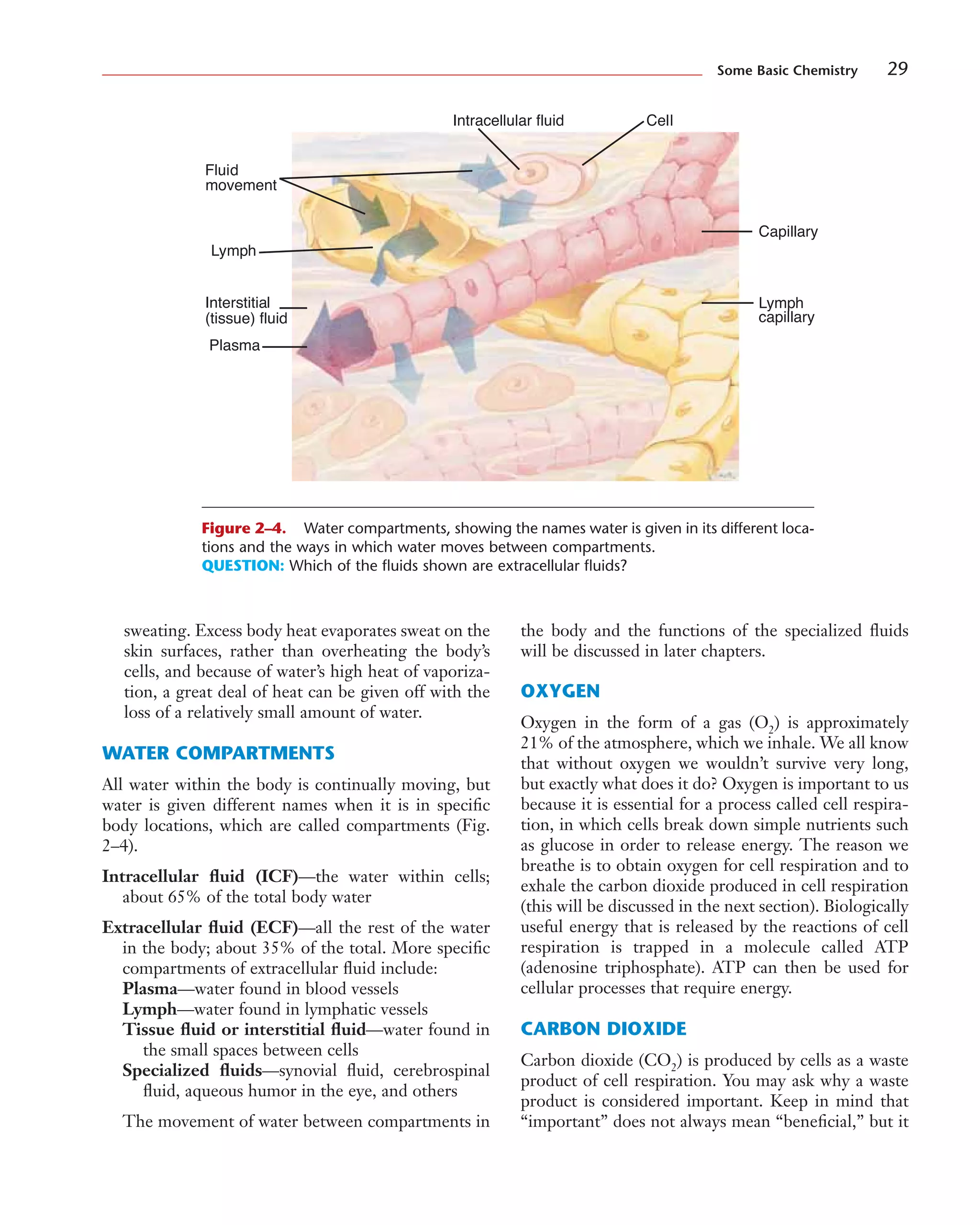 Essentials of Anatomy and Physiology.pdf
