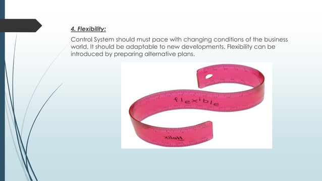 Essentials of an efficient control system | PPTX