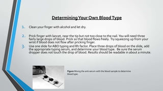 Essentials of blood group.pptx remedial biology | PPTX | Pregnancy ...