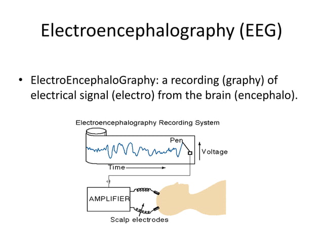 Essentials of EEG/MEG | PPTX | Brain and Nervous System Disorders ...