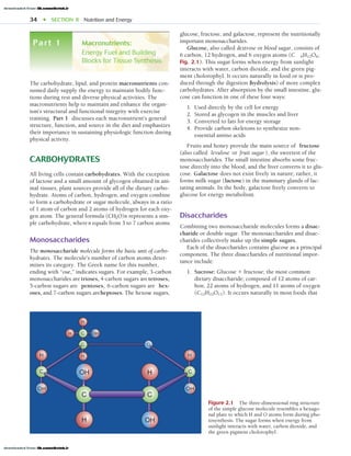 Exercise Physiology | PDF