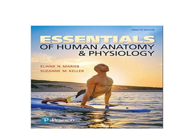 Epub Library Essentials Of Human Anatomy And Physiology 12th Edition