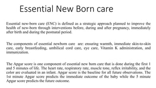 Essentials of new born care | PPTX