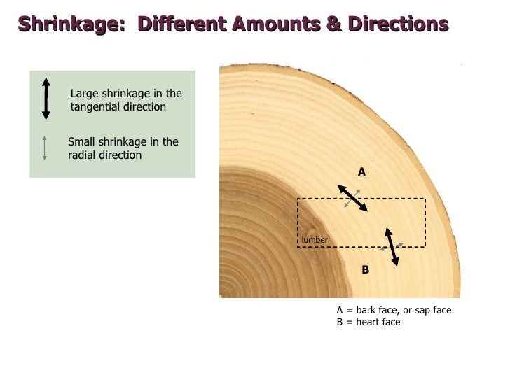 Essentials of Specifying Wood Flooring.AIA.CES