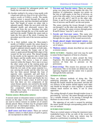 Essentials of Veterinary Surgery.pdf