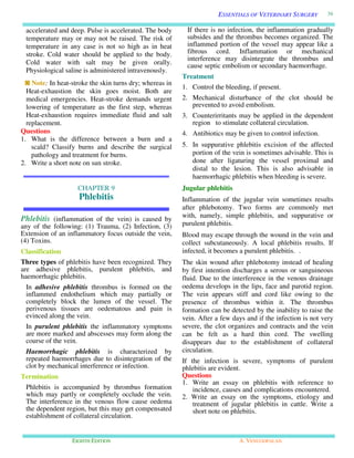Essentials of Veterinary Surgery.pdf