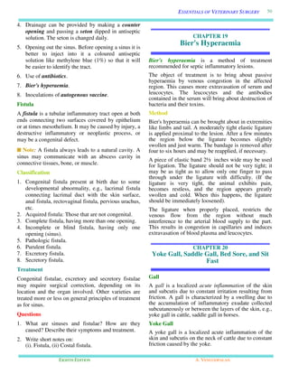 Essentials of Veterinary Surgery.pdf