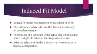 Essential To Enzymology Presentation. Final Assignment.pptx
