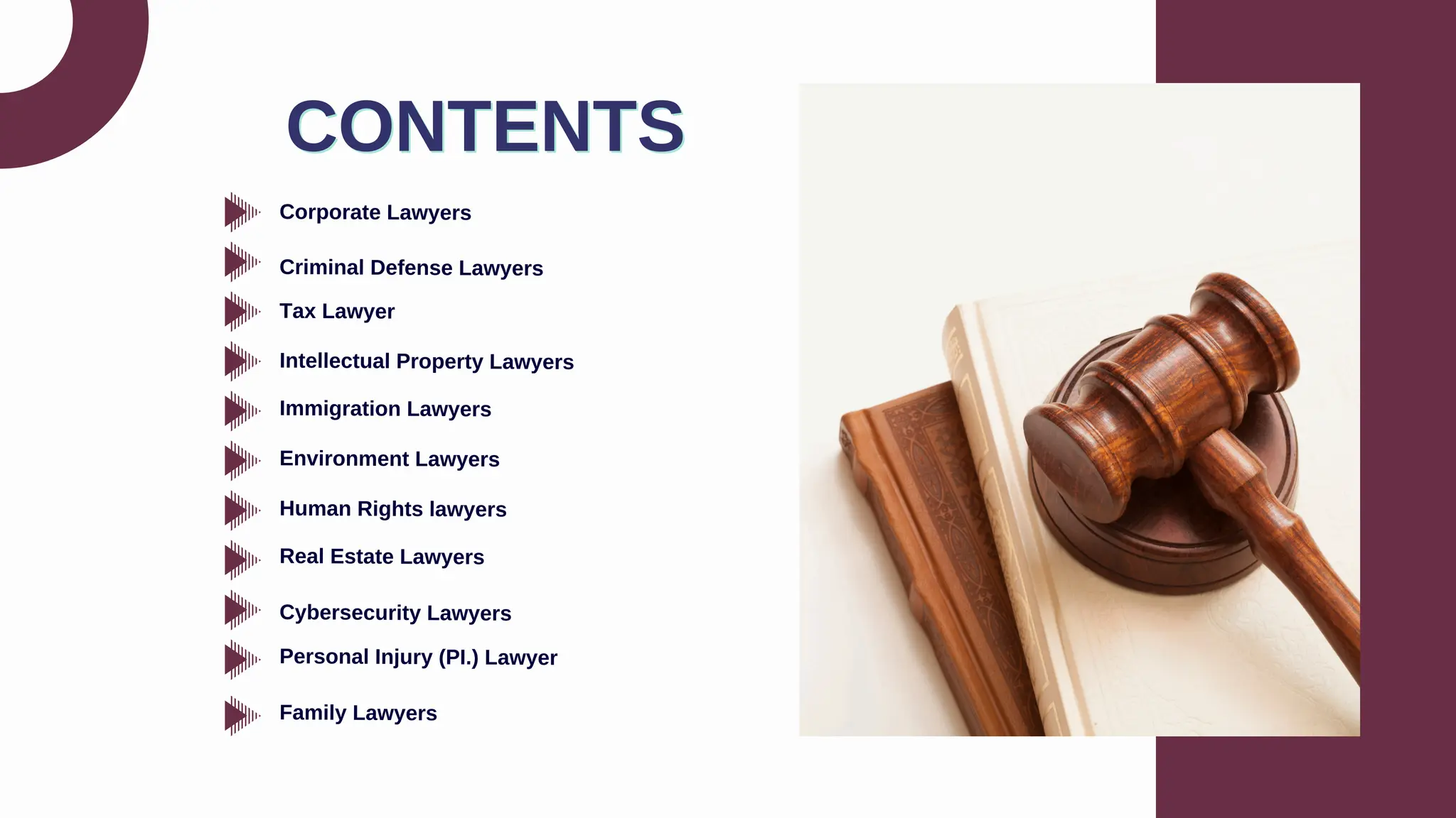 Essential Types of Lawyers and Their Responsibilities.pdf