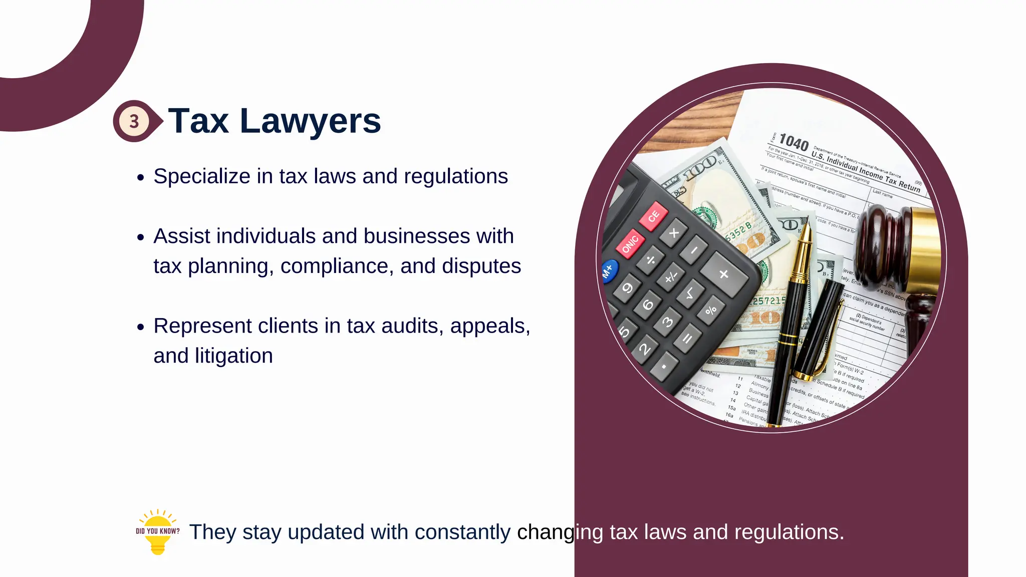 Essential Types of Lawyers and Their Responsibilities.pdf