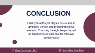 Essential Types of Lawyers and Their Responsibilities.pdf | Legal ...