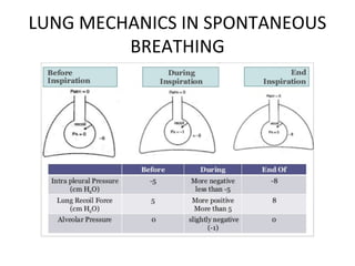 Essential ventilation | PPT | Lung and Respiratory Health | Diseases ...
