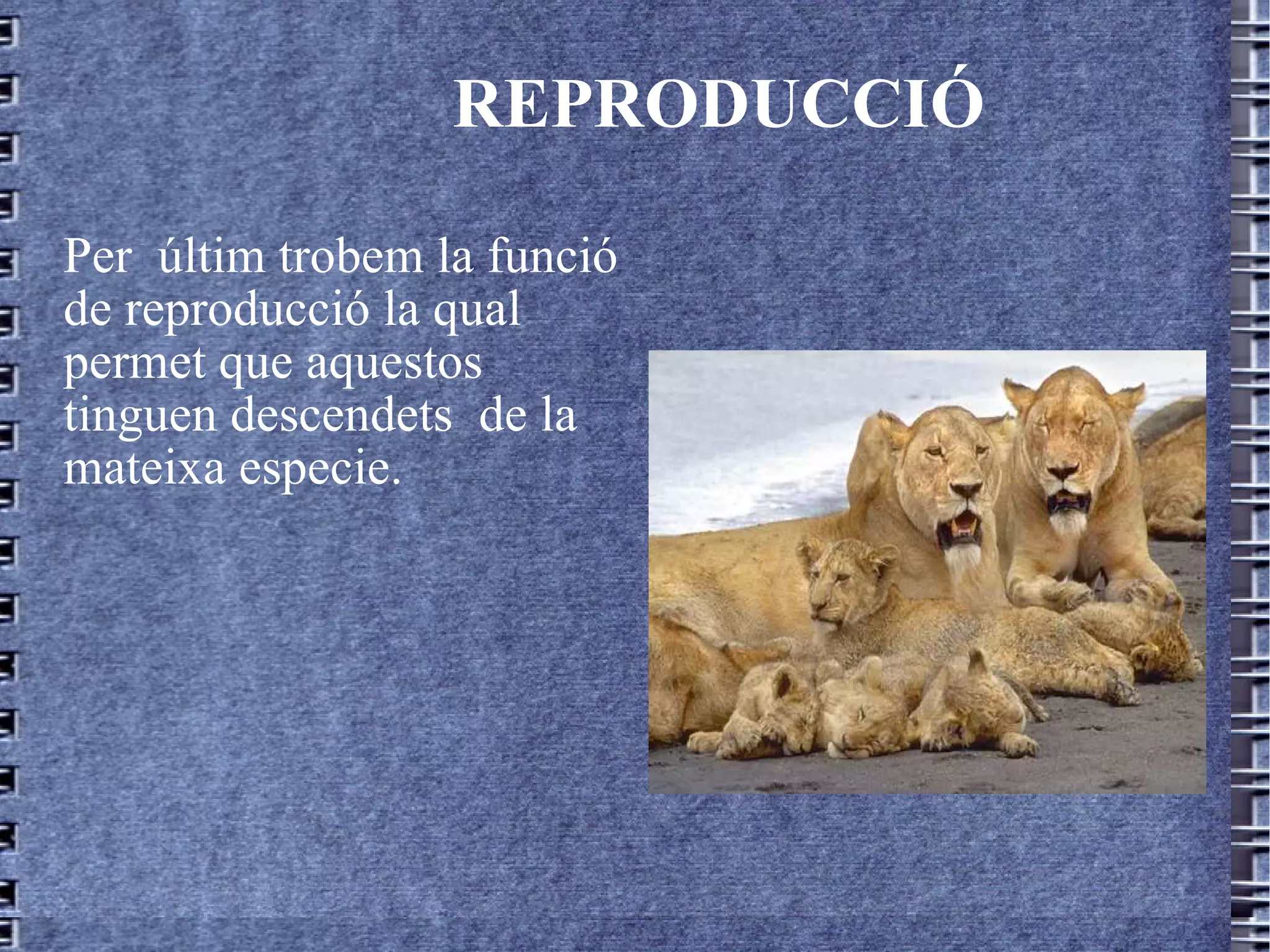 Essers vius funcions vitals | ODP