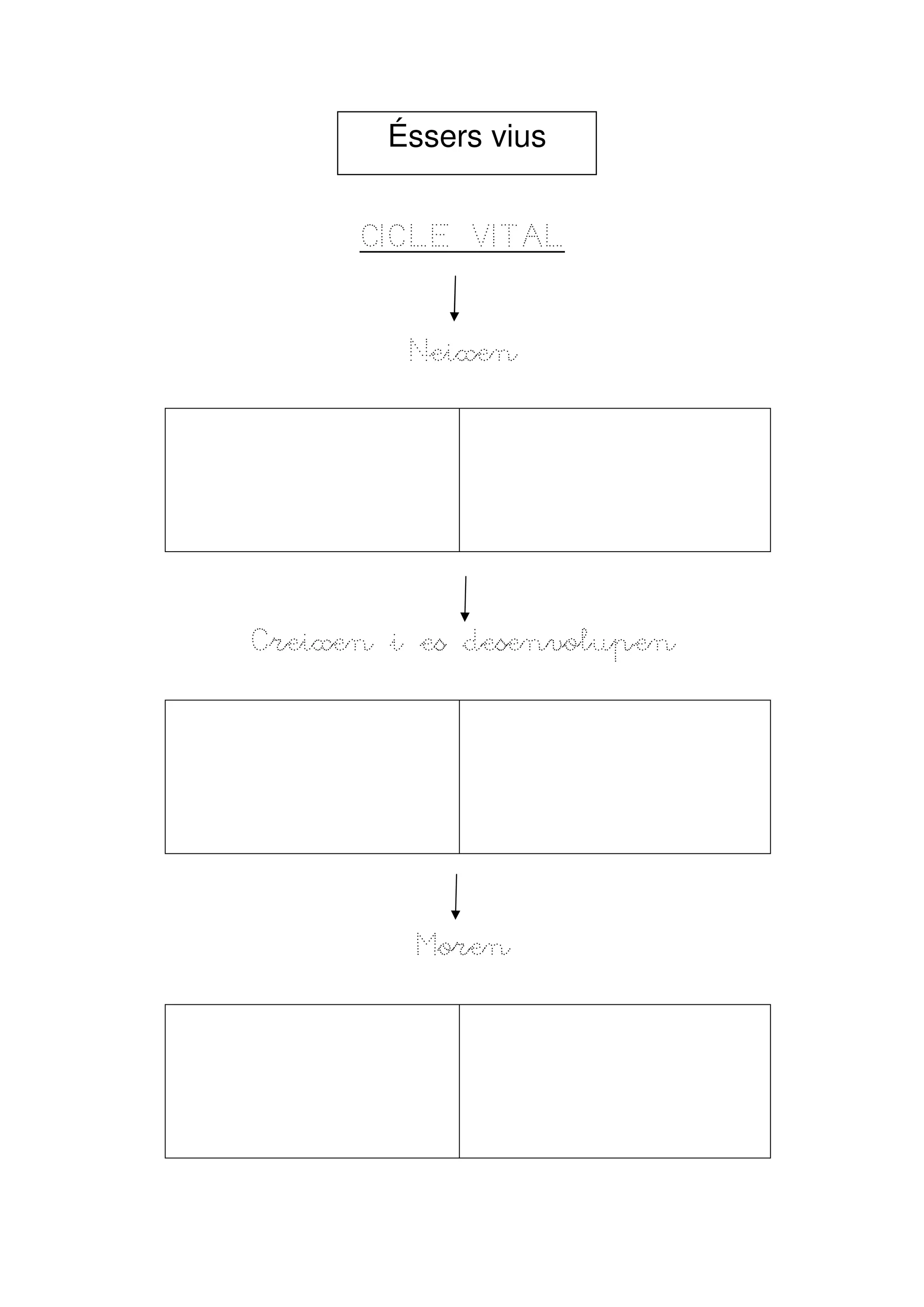 Essers vius i inerts | PDF