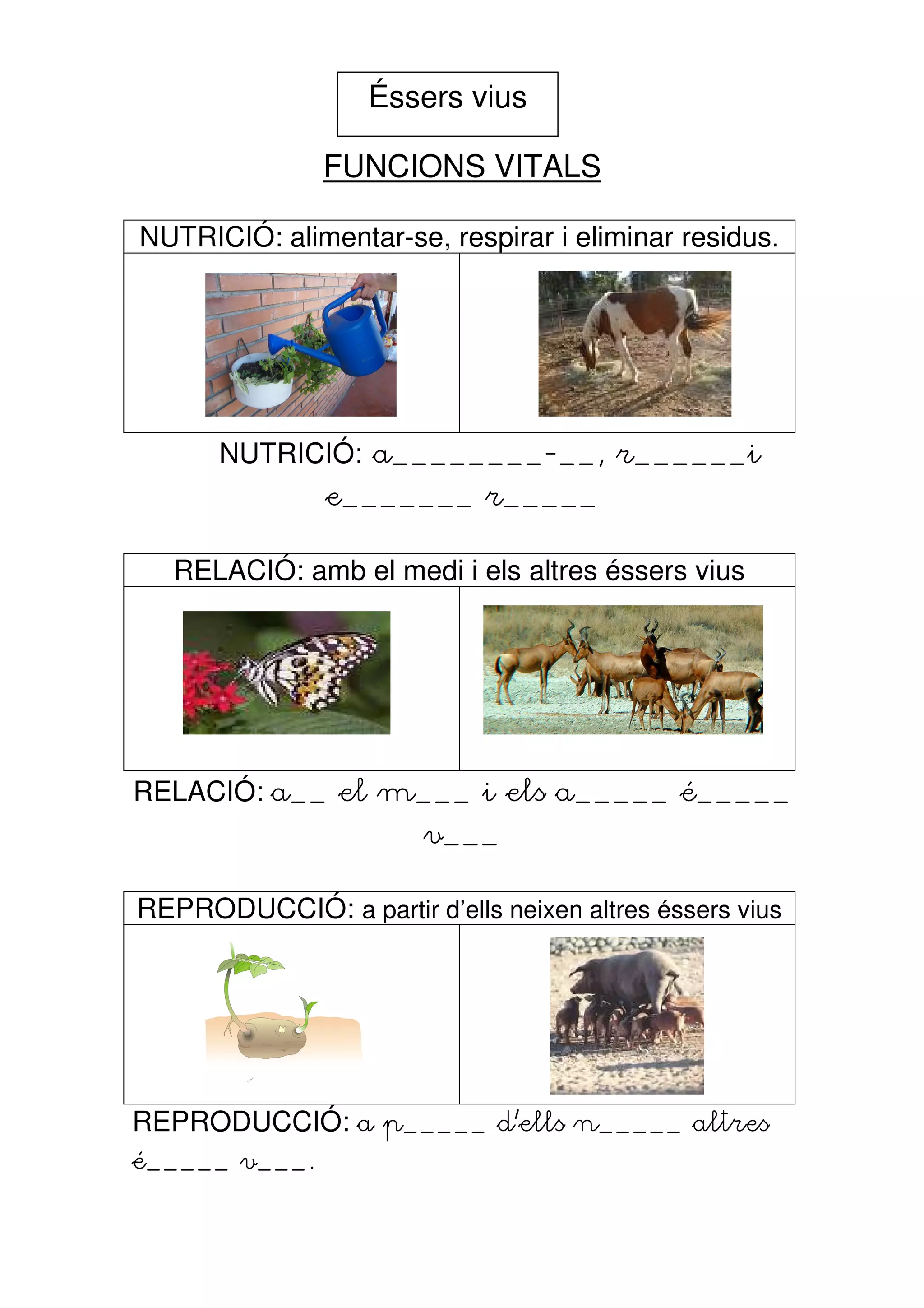 Essers vius i inerts | PDF