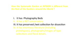 ESSK Presentation on Systematic garden.pptx