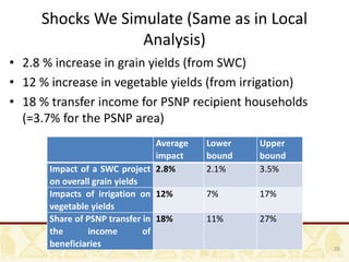 Economy-wide Effects of PSNP in the Small and in the Large | PPTX ...