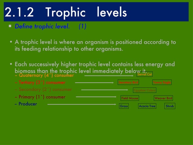 ESS Topic 2.1 - Structures | PPT | Geography | Science