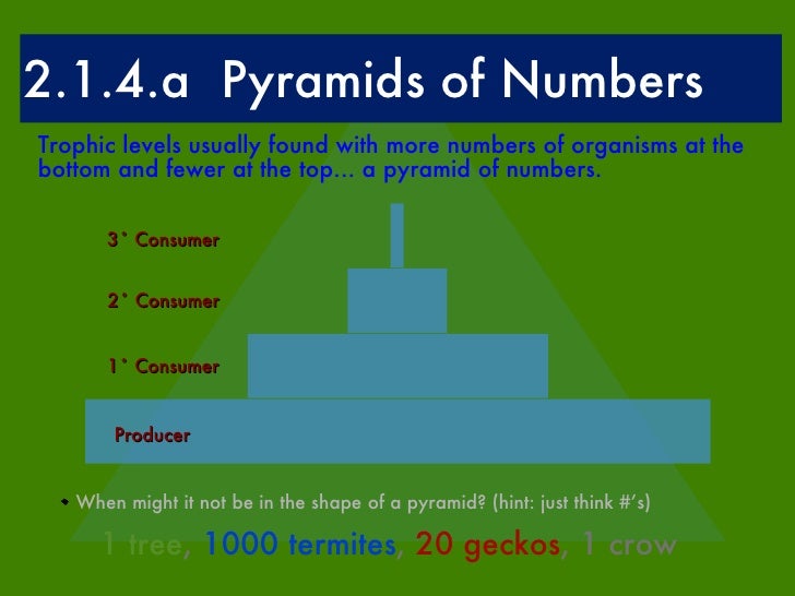 ESS Topic 2.1 - Structures