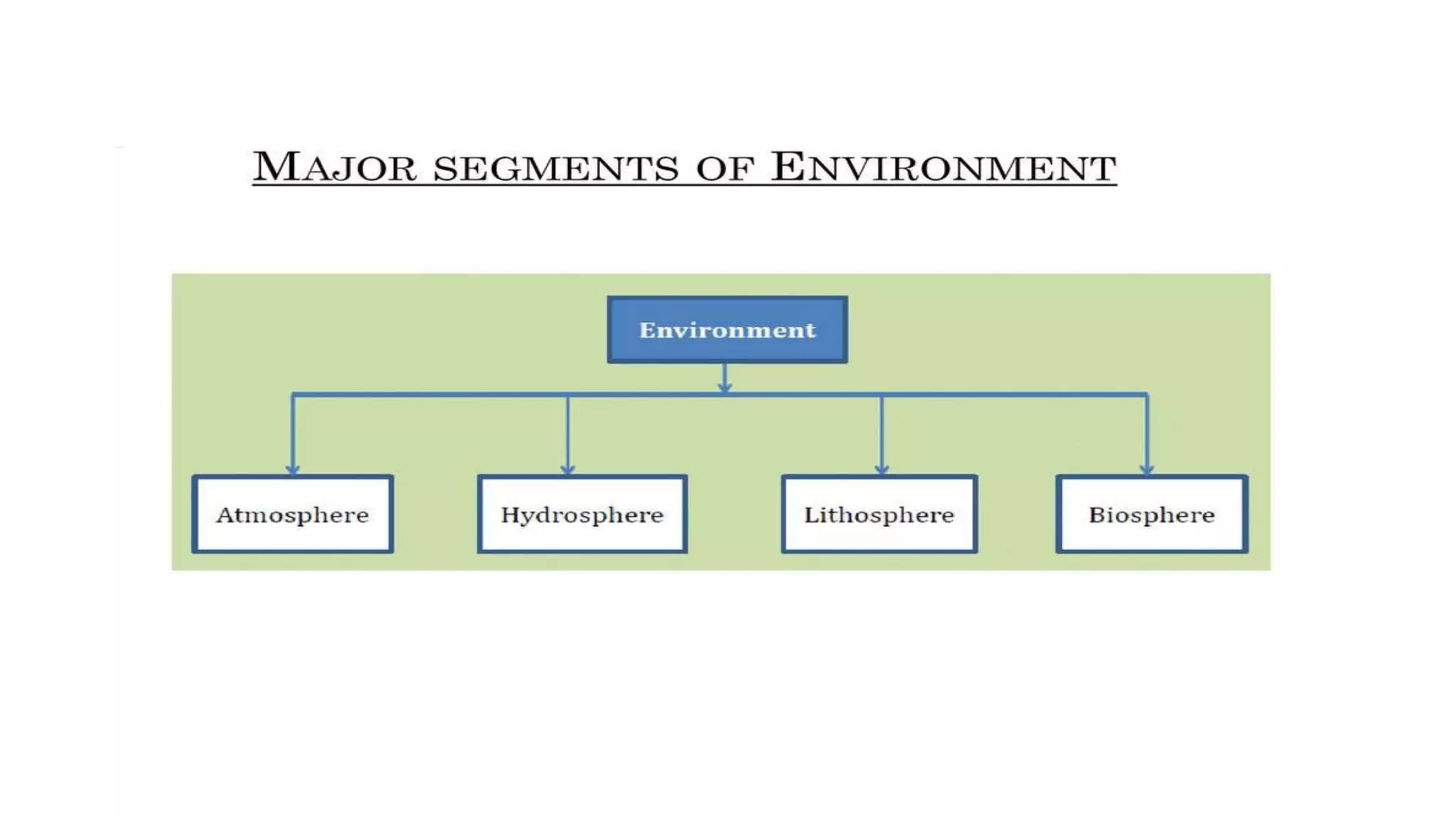 Environmental Study | PPT