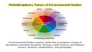 Environmental Study | PPT