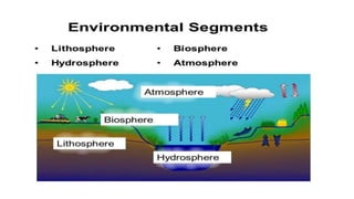 Environmental Study | PPTX