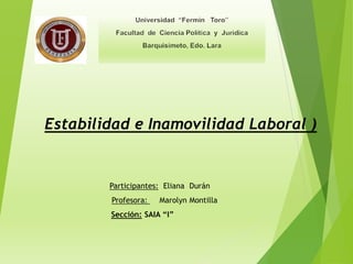 Estabilidad laboral | PPTX