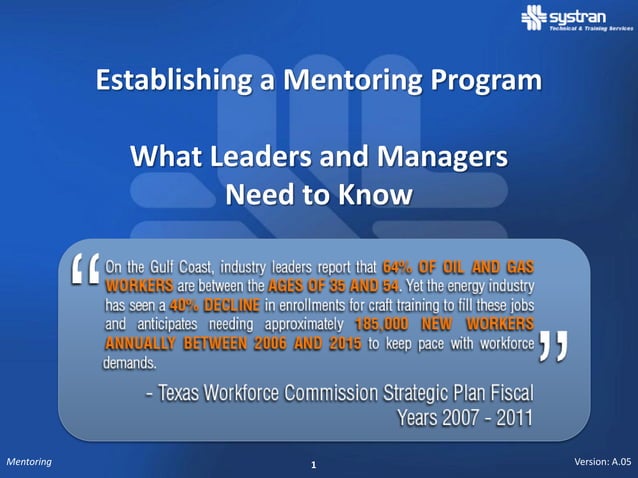 Establishing A Mentoring Program | PPT