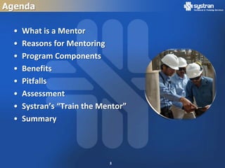 Establishing A Mentoring Program | PDF