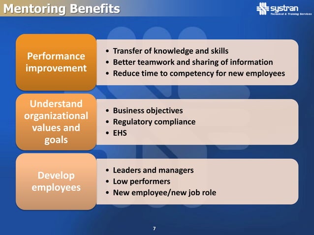 Establishing A Mentoring Program | PPT