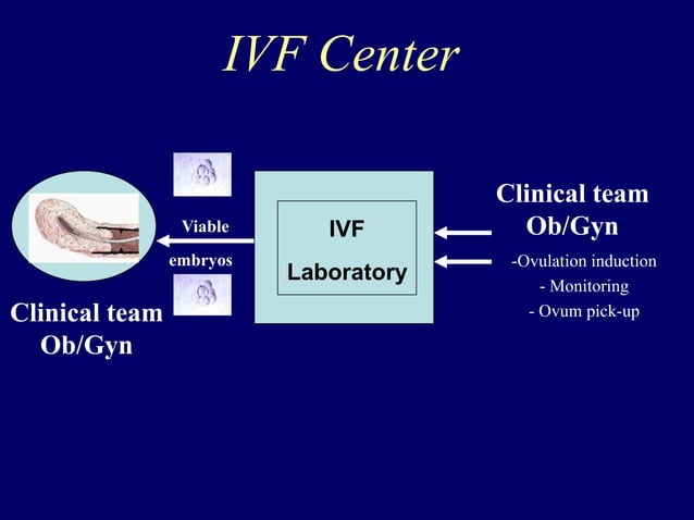 How to establish an ivf center | PPTX | Infertility | Reproductive Health