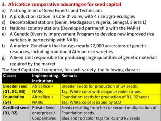 Seed systems and rice seed capital in Africa | PPT