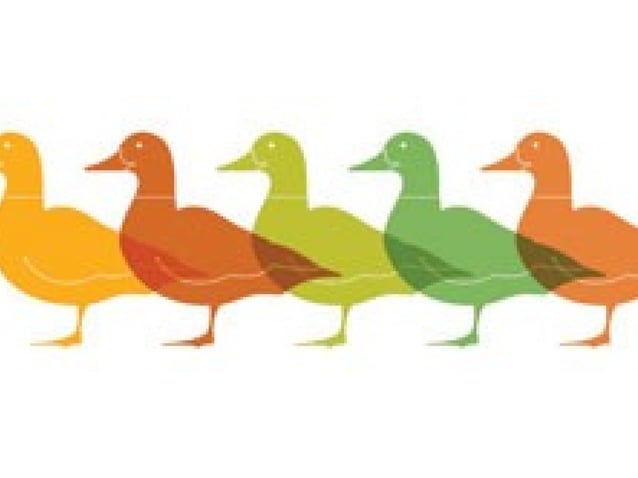Establishing Peace, Ducks In A Row (Part 1) | PPT